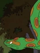 Burmese Python | Animals Wiki | Fandom