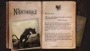 Bandersnatch | Animals Wiki | Fandom