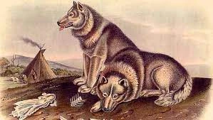 Paleolithic Dog | Animals Wiki | Fandom