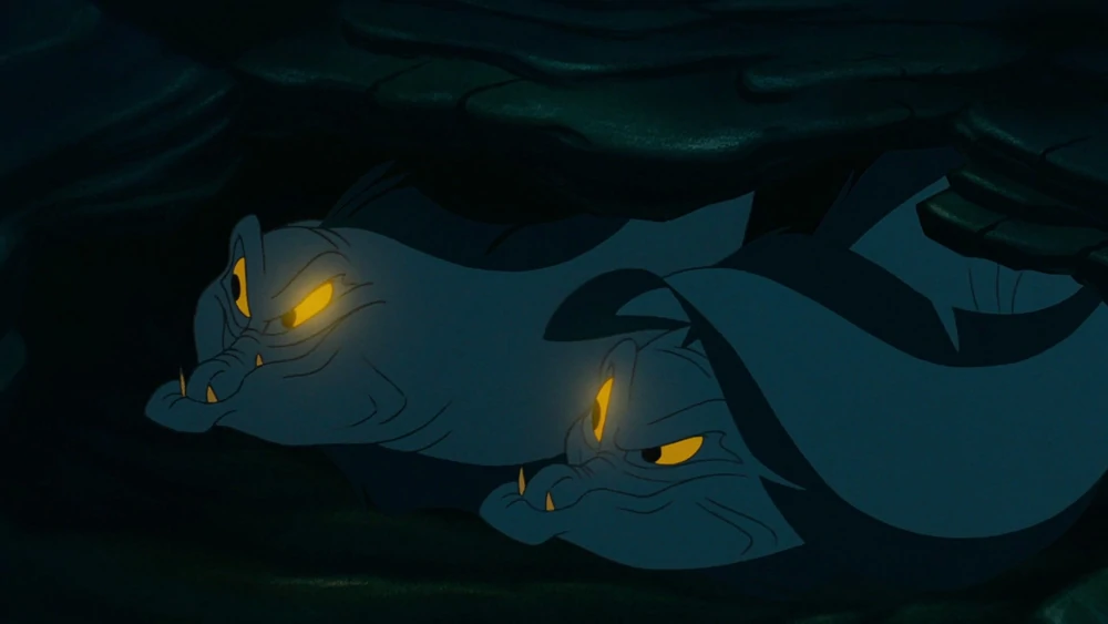 Fimbriated Moray Eel | Animals Wiki | Fandom