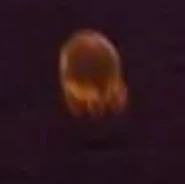 Pytheron | Animals Wiki | Fandom