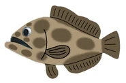 List of Species seen in Finding Nemo | Animals Wiki | Fandom