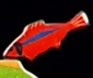 Blue Blanquillo | Animals Wiki | Fandom