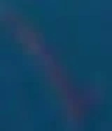 Triton | Animals Wiki | Fandom