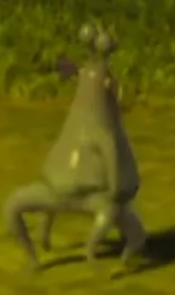 Canis | Animals Wiki | Fandom