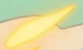 Atlantic Bobtail Squid | Animals Wiki | Fandom