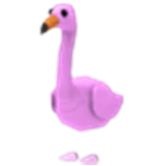 Flamingo | Animals Wiki | Fandom