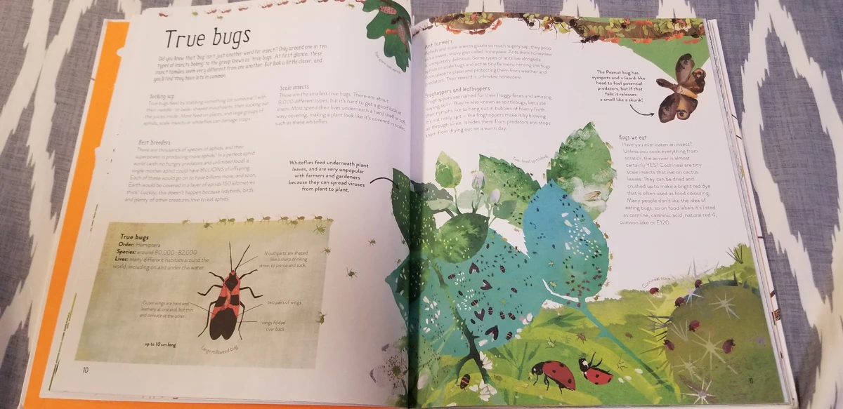 List of Species in One Million Insects | Animals Wiki | Fandom