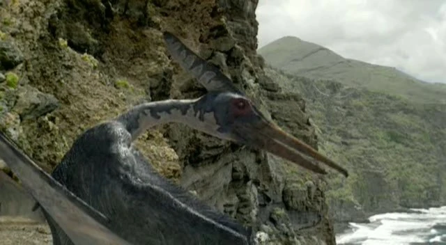 Pteranodon | Animals Wiki | Fandom