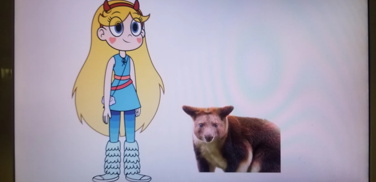 Goodfellow's Tree Kangaroo | Animals Wiki | Fandom