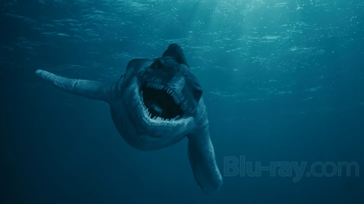 Prognathodon | Animals Wiki | Fandom