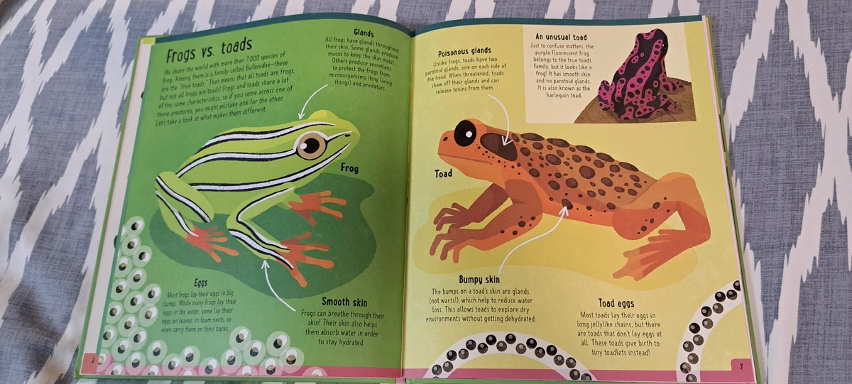 List of Species in A Day in the Life Frogs | Animals Wiki | Fandom