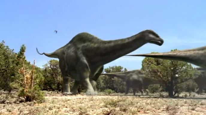 Category:BBC Animals | Animals Wiki | Fandom