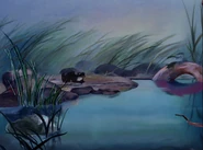 American Bullfrog | Animals Wiki | Fandom