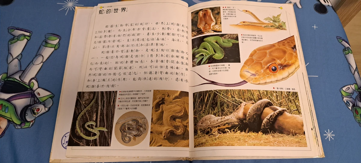 List of Species in New Knowledge Reptiles | Animals Wiki | Fandom