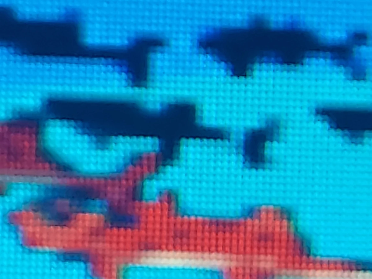 Eastern Highfin Spurdog | Animals Wiki | Fandom