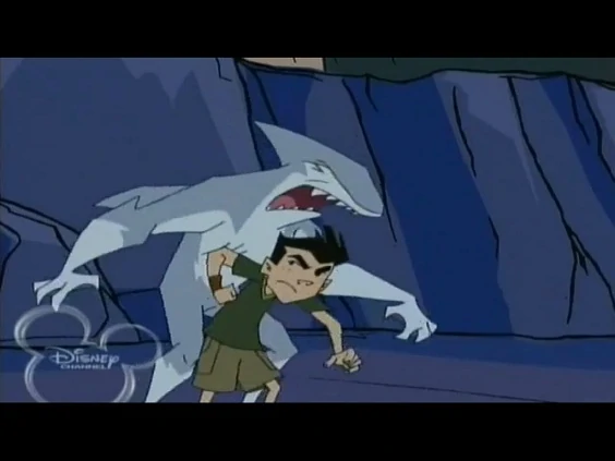 Silky Shark | Animals Wiki | Fandom