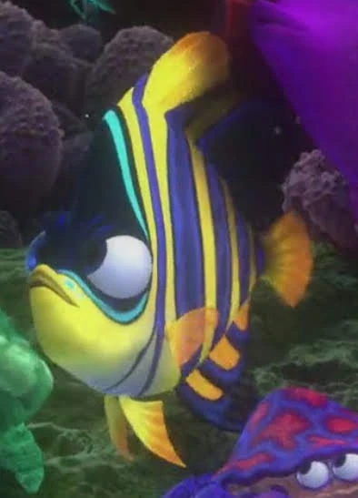 Royal Angelfish | Animals Wiki | Fandom