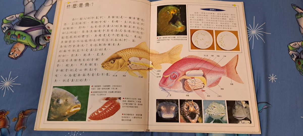 List of Species in New Knowledge Various Fish | Animals Wiki | Fandom