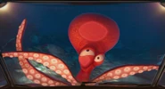 Common Octopus | Animals Wiki | Fandom