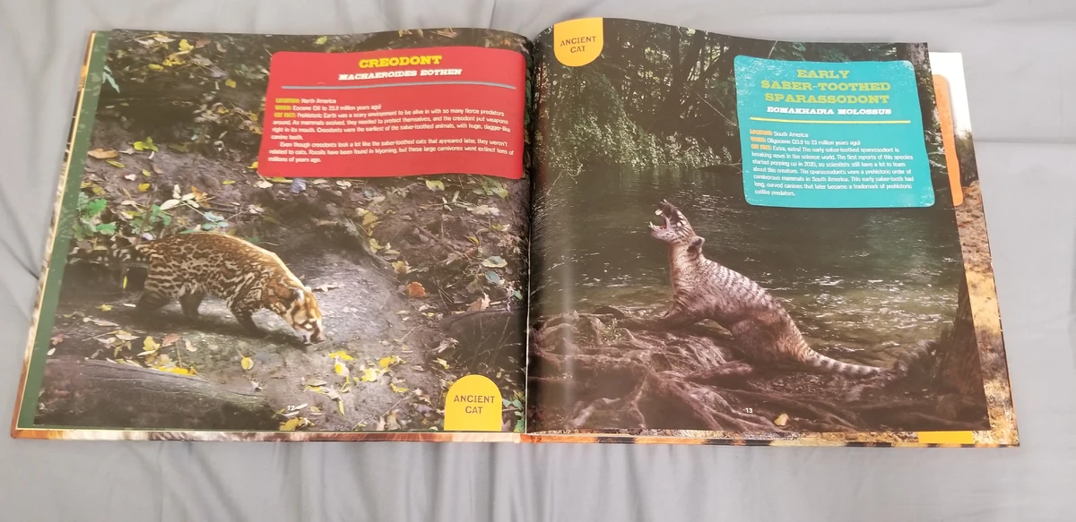 List of Species in Discovering Tigers, Lions and Other Cats | Animals ...