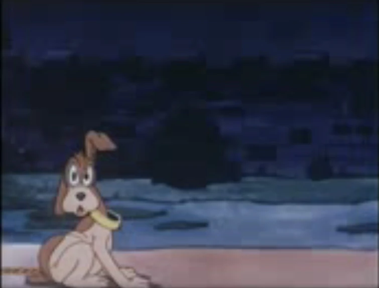 German Shorthaired Pointer | Animals Wiki | Fandom