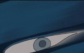 Amikuk | Animals Wiki | Fandom