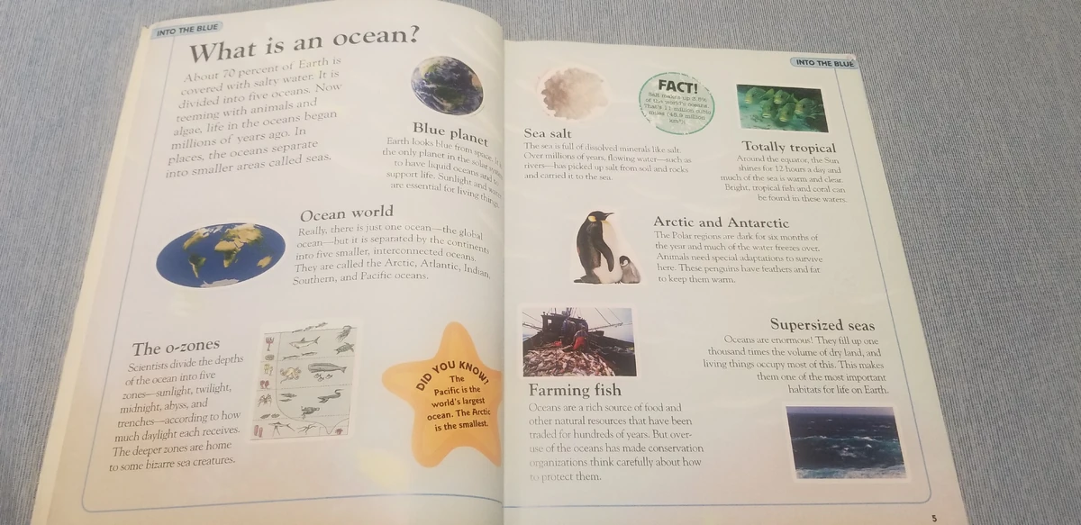 List of Species in Sticker Encyclopedia Ocean | Animals Wiki | Fandom