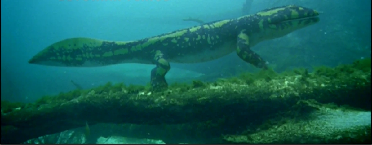 Hynerpeton | Animals Wiki | Fandom