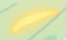 Cyrano Spurdog | Animals Wiki | Fandom