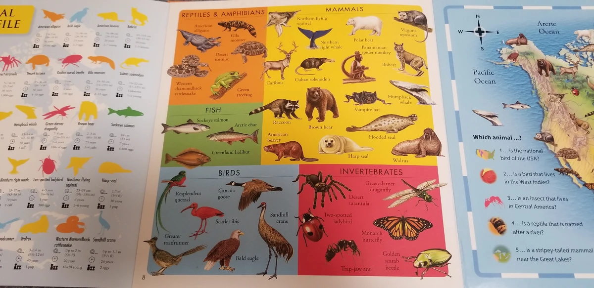 List of Species in Pop-up, Pull-out, Animal Atlas | Animals Wiki | Fandom