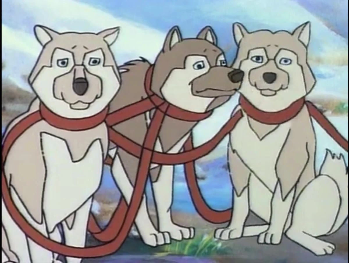 Greenland Dog | Animals Wiki | Fandom