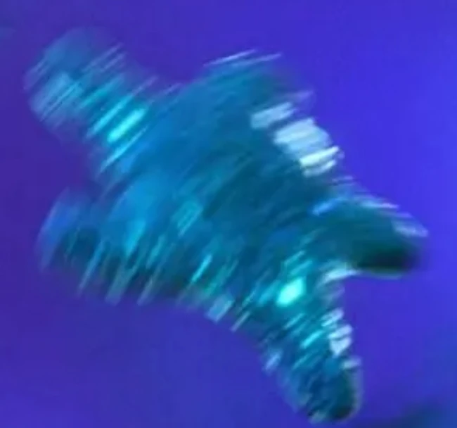 Swampus | Animals Wiki | Fandom