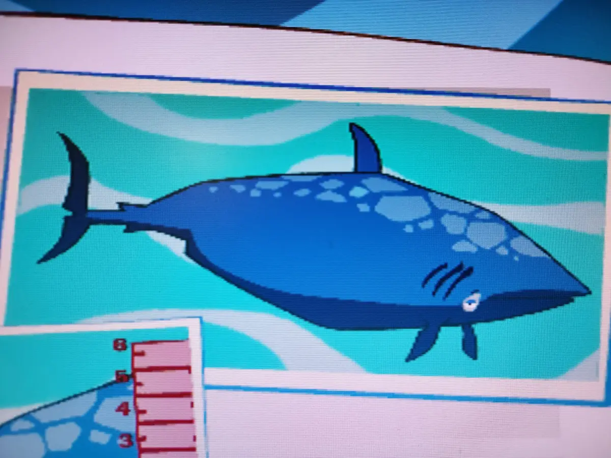 Eorhincodon | Animals Wiki | Fandom