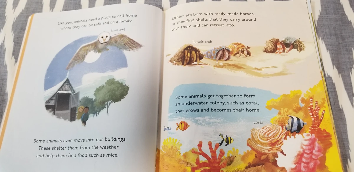 List of Species in Amazing Animal Homes | Animals Wiki | Fandom