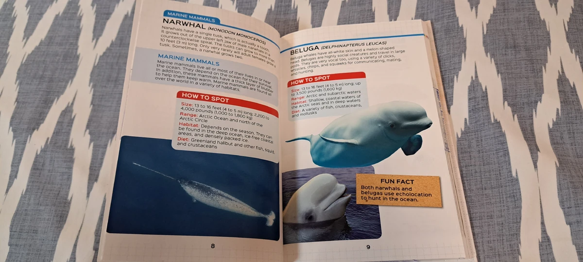 List of Species in Field Guides For Kids Mammals | Animals Wiki | Fandom