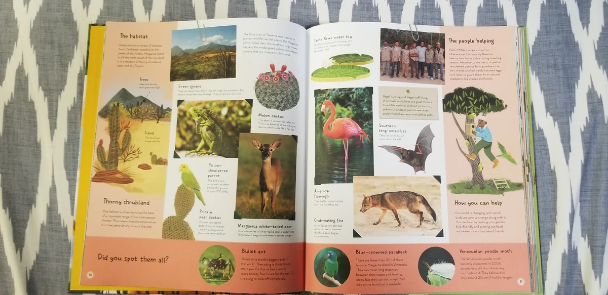 List of Species in The World Wildest Places | Animals Wiki | Fandom