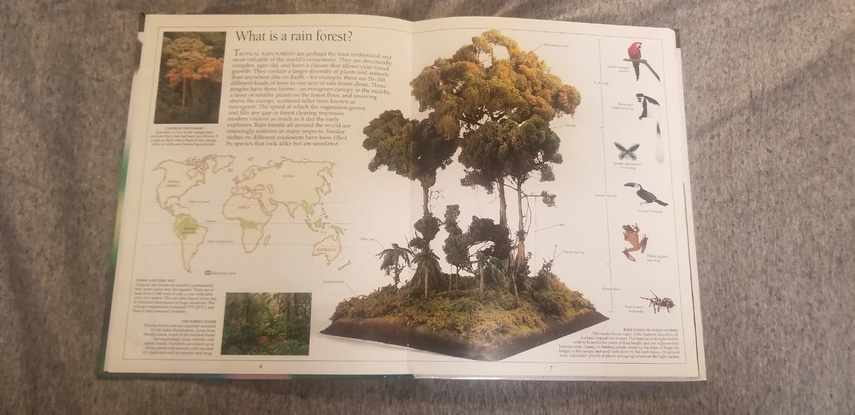 List of Species in DK Eyewitness Books Jungle | Animals Wiki | Fandom