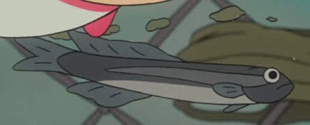 Striped Eel Catfish | Animals Wiki | Fandom