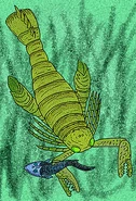 Pterygotus | Animals Wiki | Fandom