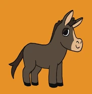 Domestic Donkey | Animals Wiki | Fandom
