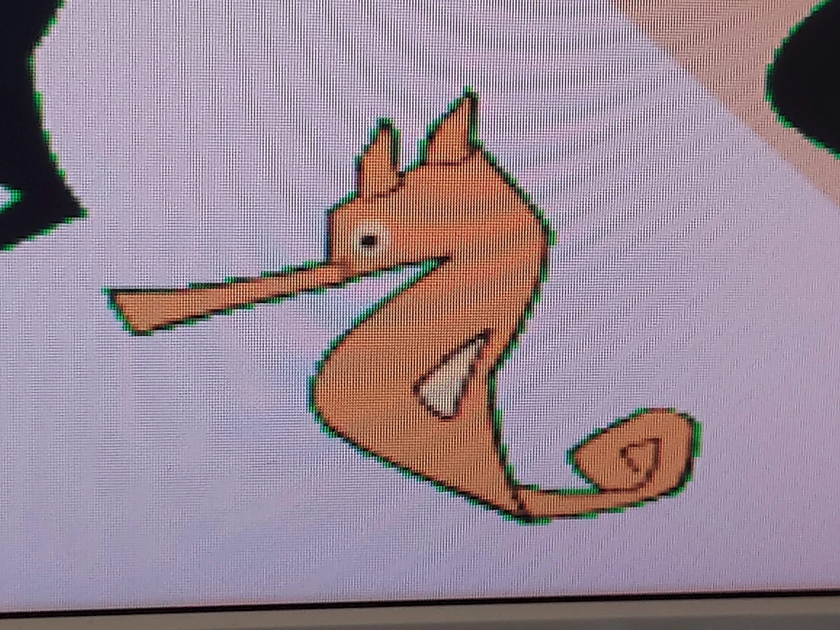 Beady Pipefish | Animals Wiki | Fandom