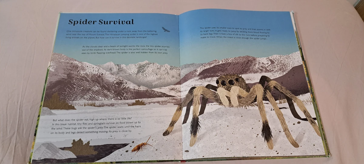 List of Species in World of Wonder Mountains | Animals Wiki | Fandom