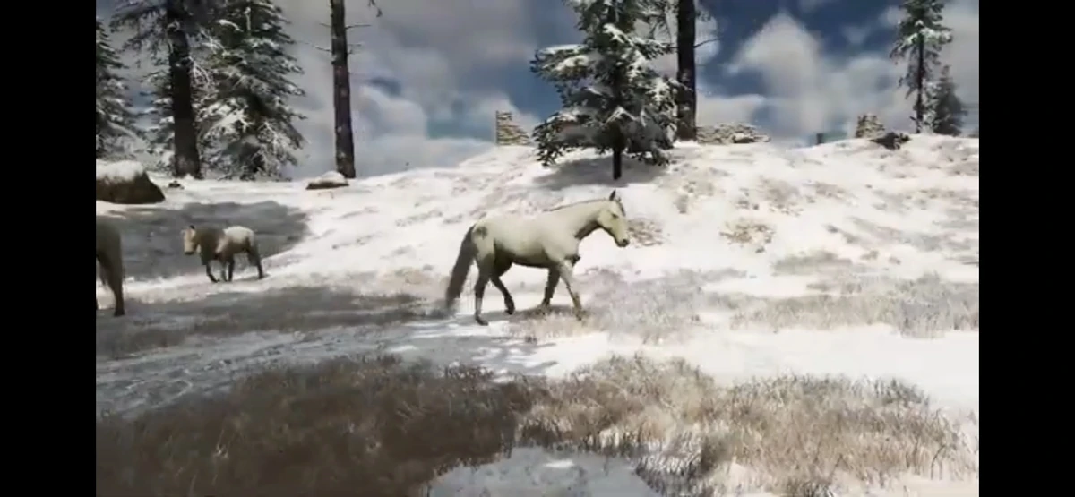 Steppe Horse | Animals Wiki | Fandom