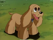 COCKER SPANIEL | Animals Wiki | Fandom