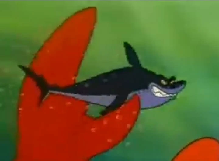 Sailback Houndshark | Animals Wiki | Fandom