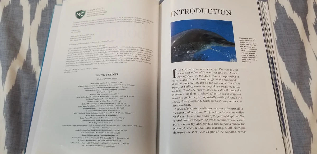 List of Species in Andrew Cleave Whales and Dolphins | Animals Wiki ...
