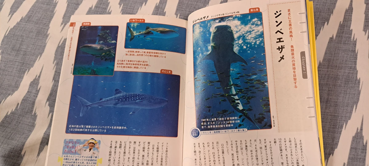 List of Species in Sakana-kun's Aquarium Guide | Animals Wiki | Fandom