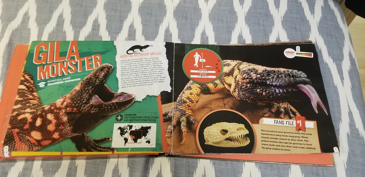 List of Species in Creature Files Reptiles | Animals Wiki | Fandom