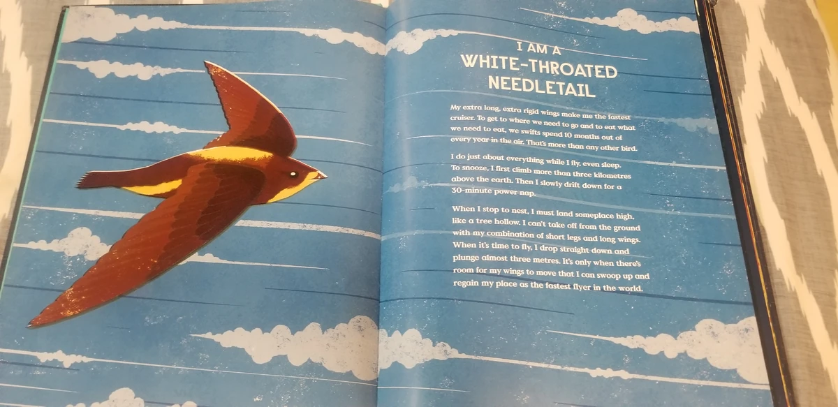 List of Species in Book Of Flight | Animals Wiki | Fandom